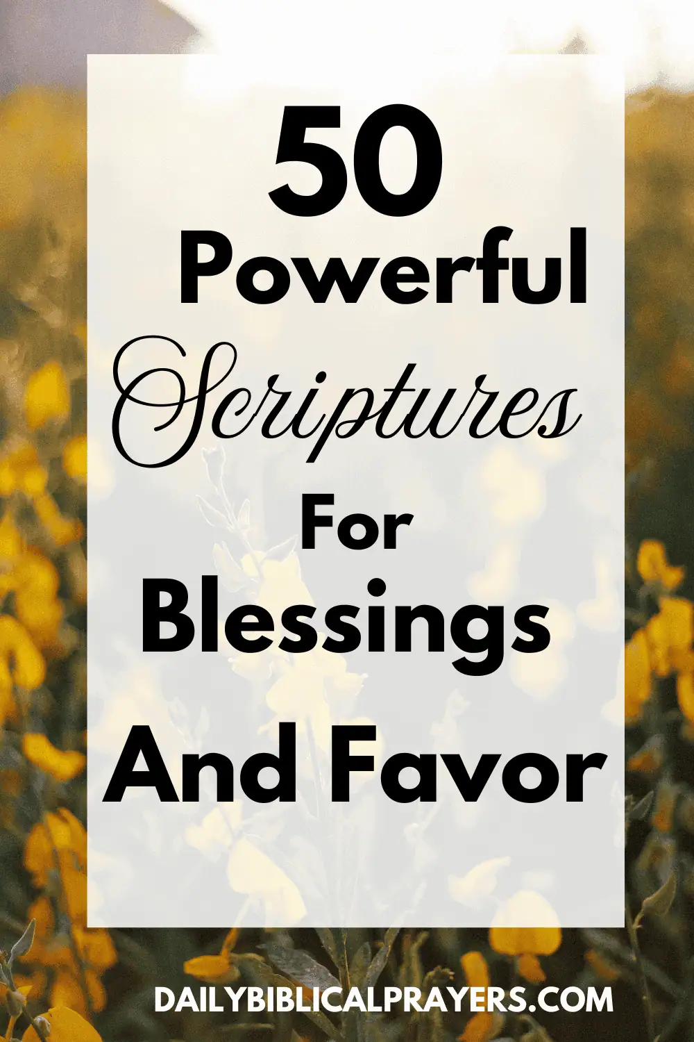 50 Powerful Scriptures for Blessings and Favor - daily biblical prayers